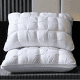 Kaqinu Queen Size Bed Pillows Set of 2, Down Alternative, Soft ...