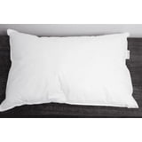 Pillowtex White Duck Down Pillow - Extra Soft for Stomach Sleepers ...