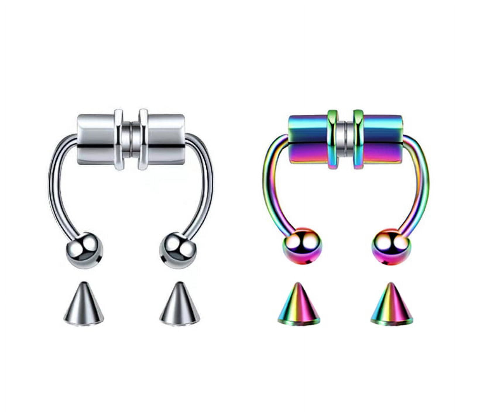 PillyBalla Magnetic Septum Ring, Magnet False Nose Ring Horseshoe Ring ...