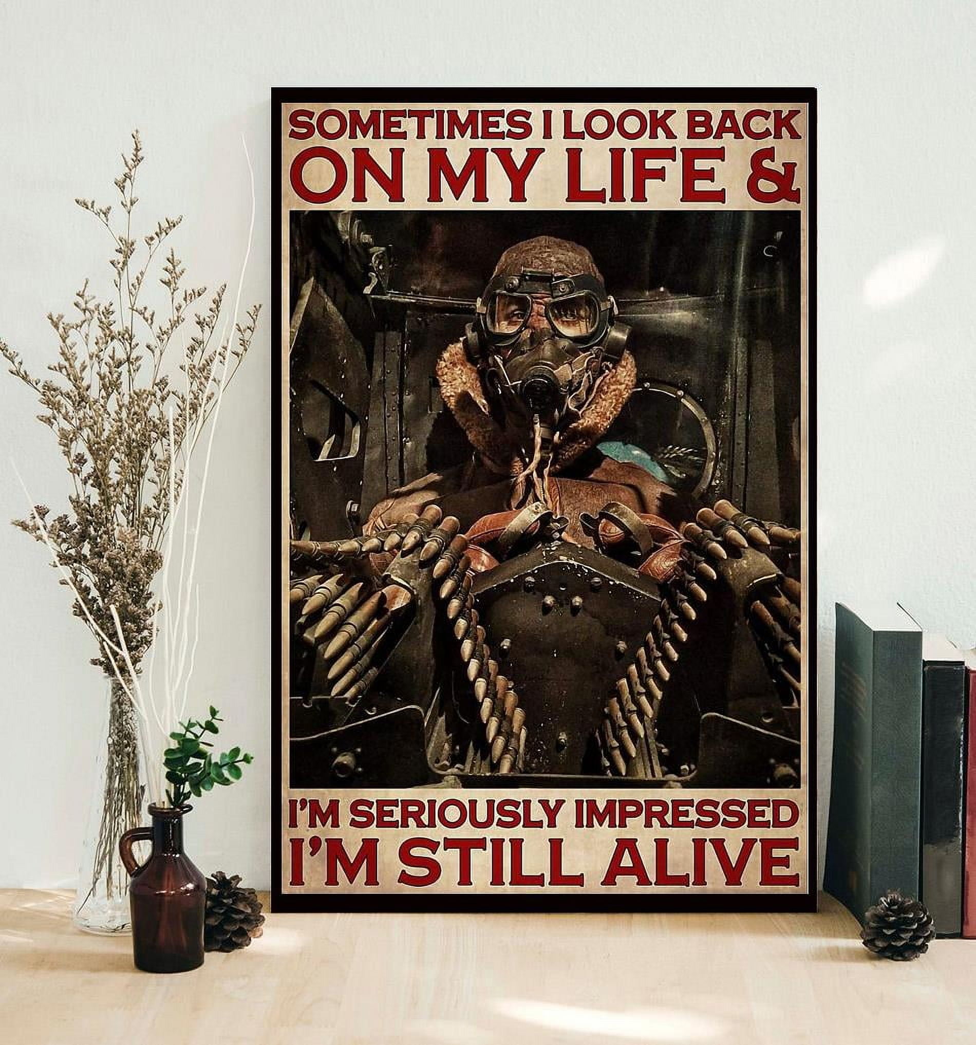 Pilot Aircraft sometimes I look back on my life poster 24 x 36 Inch ...