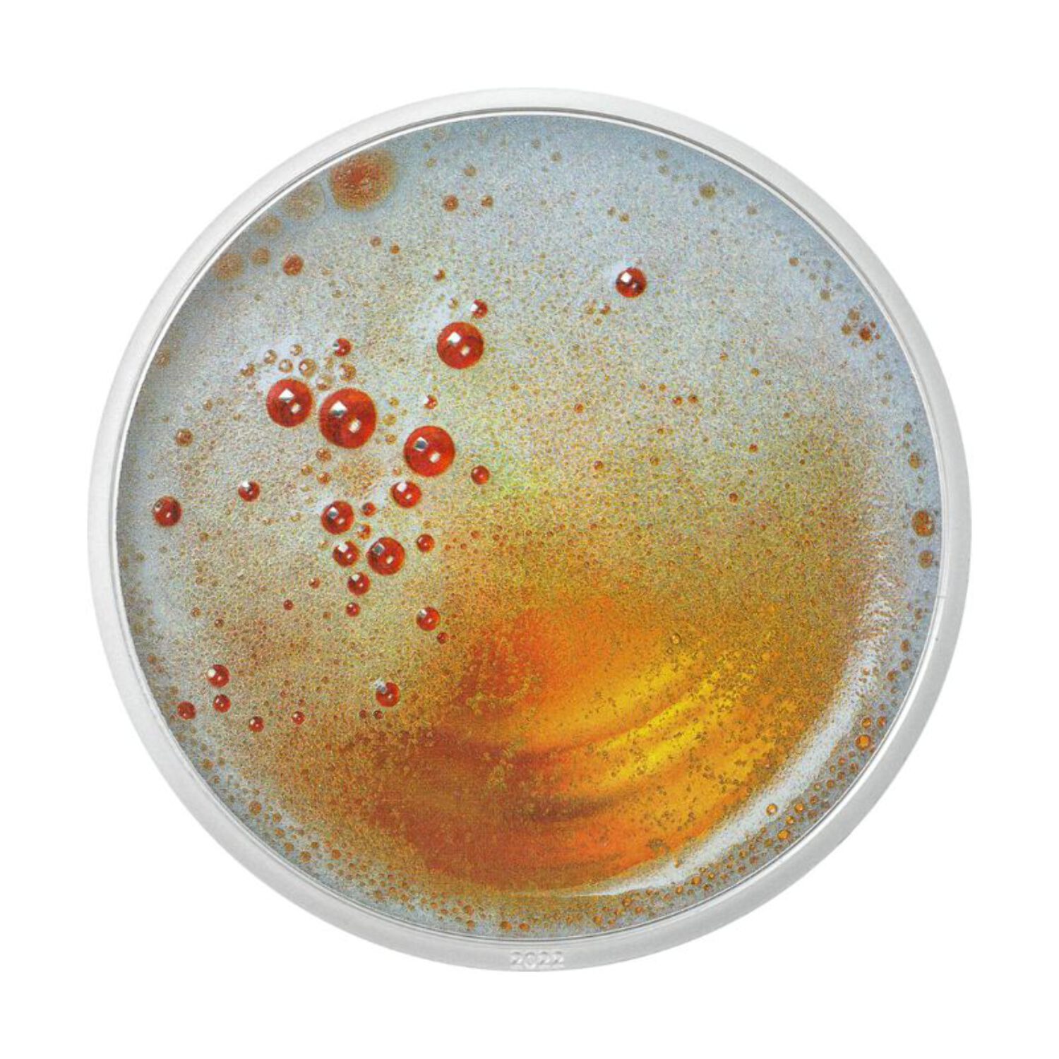 Pilsner Beer – Food Drinks - Walmart.com