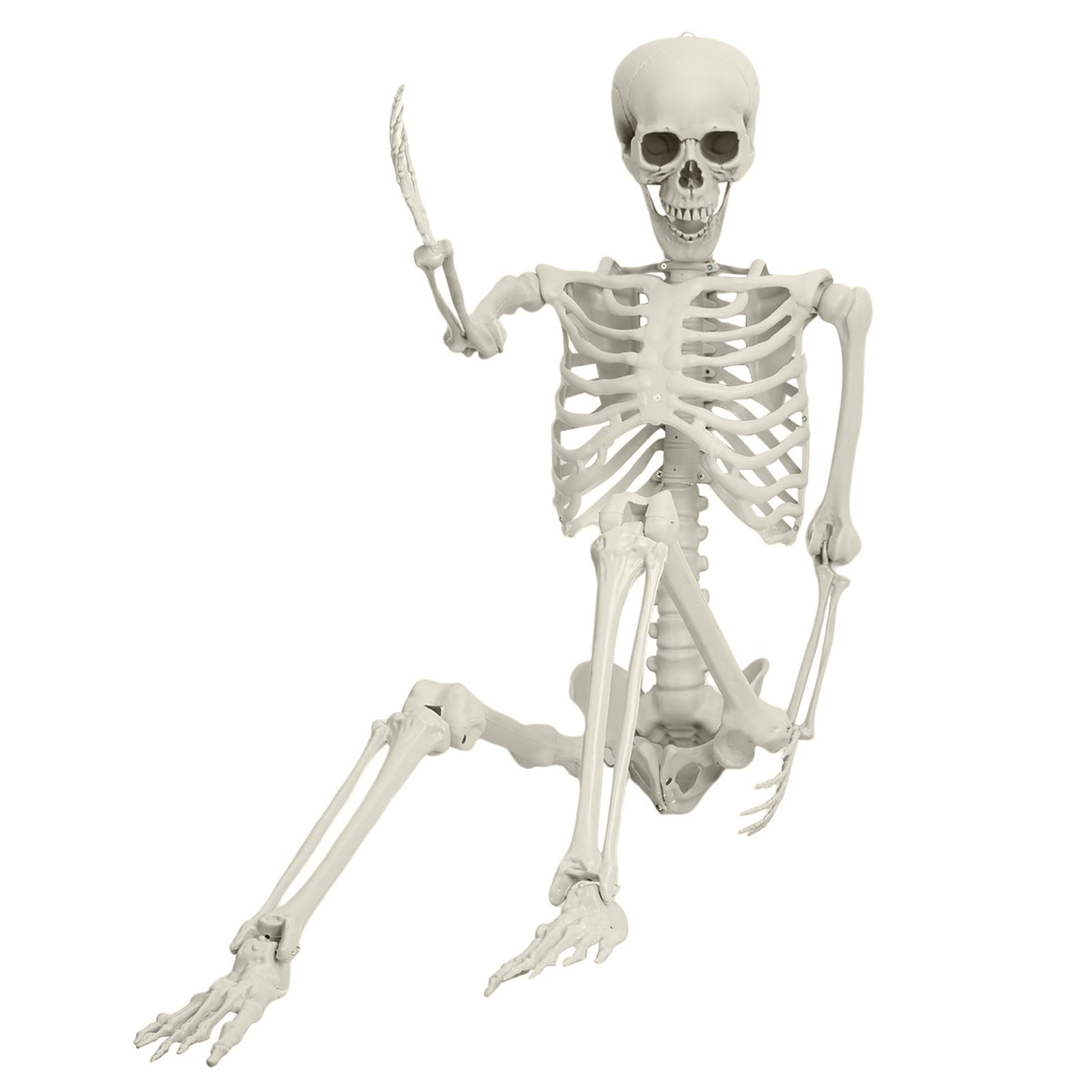 Pimsoran 5.4FT Poseable Skeleton Prop Life Size Plastic Halloween Human ...