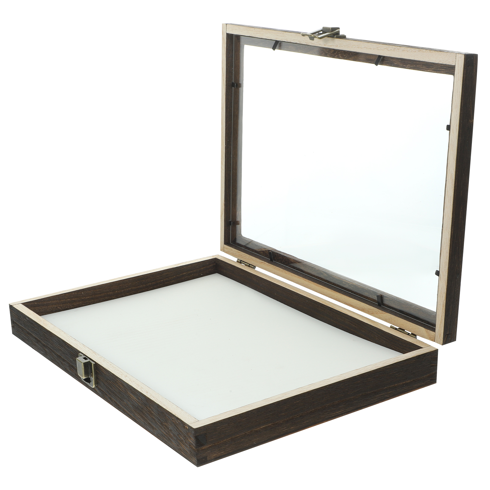 Pin Display Case Insect Window Screen Specimen Box Storage - Walmart.com