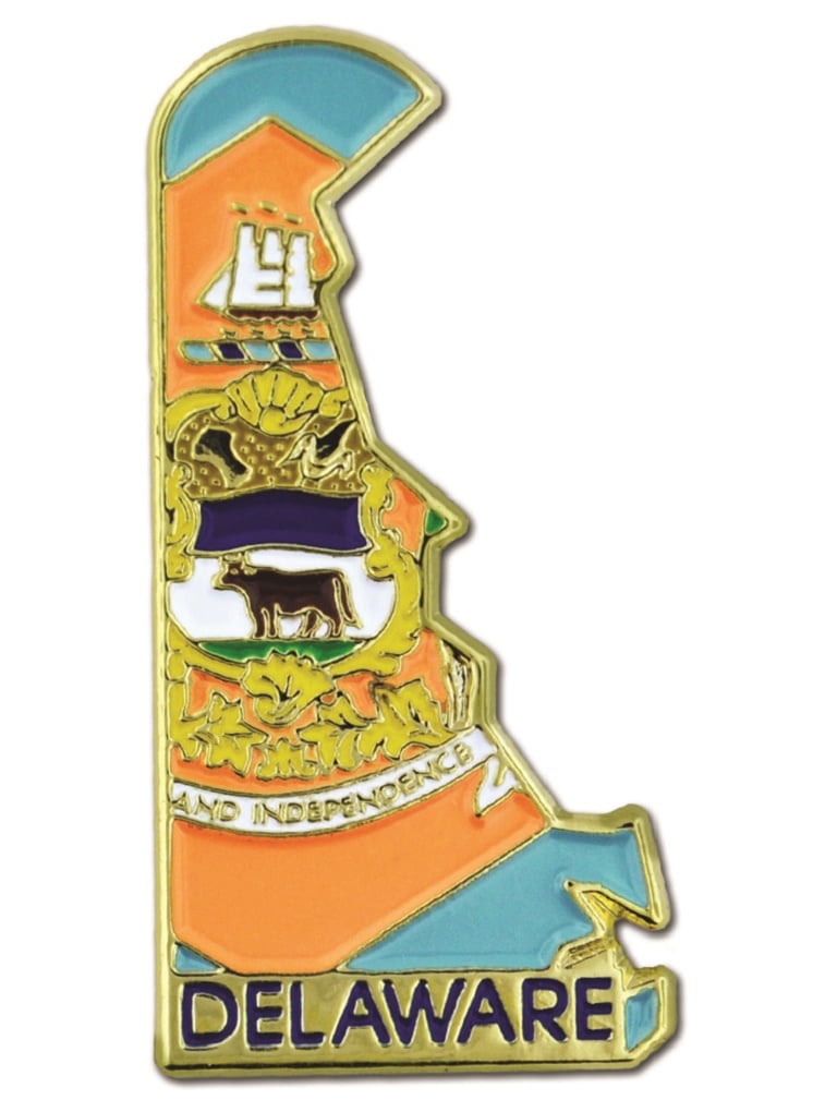 PinMart Delaware Shape Flag Enamel Pins – Gold Plated US State Lapel ...
