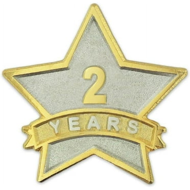 PinMart Gold Plated Excellence in Service Year Award Lapel Pin – Metal ...