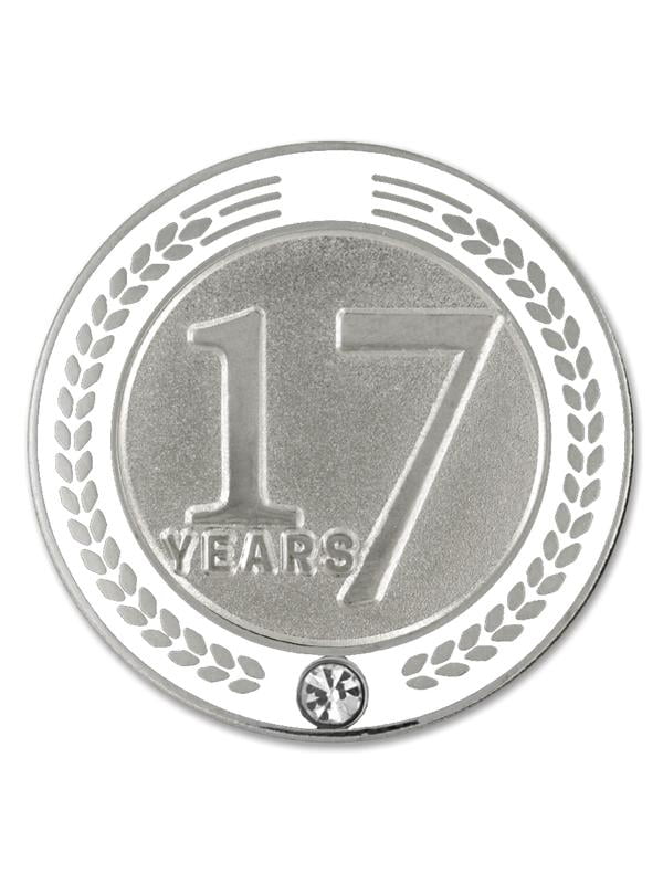 PinMart's 17 Years of Service Award Employee Recognition Gift Lapel Pin ...