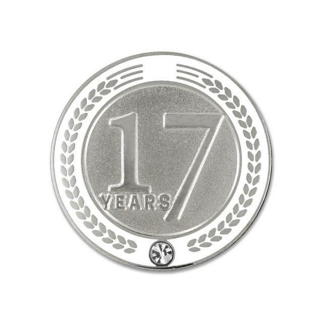 PinMart's 17 Years of Service Award Employee Recognition Gift Lapel Pin ...