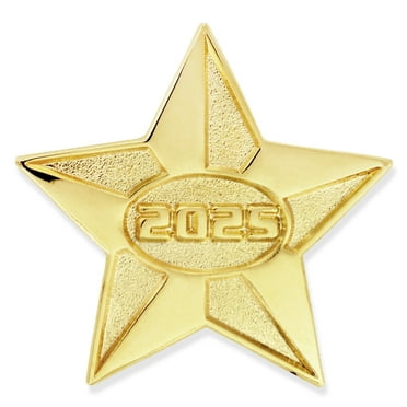 U.S. Navy USN Fouled Anchor Pin Gold & Silver Plated 1 1/4" - Walmart.com