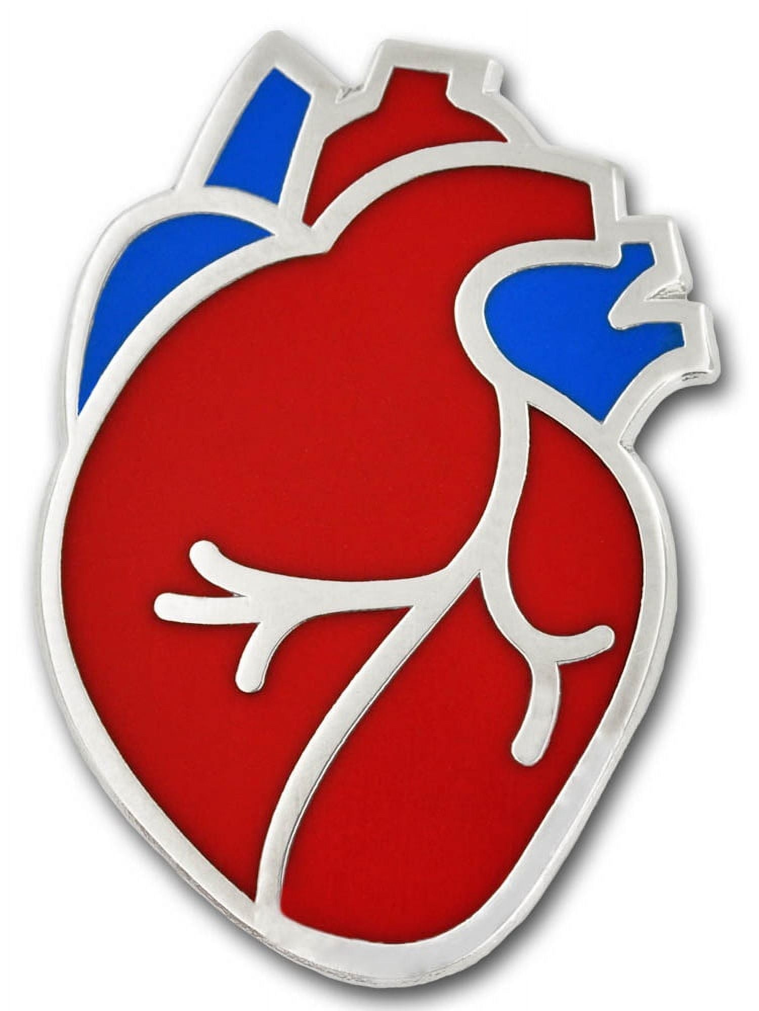 PinMart's The Human Heart Medical Enamel Lapel Pin - Walmart.com