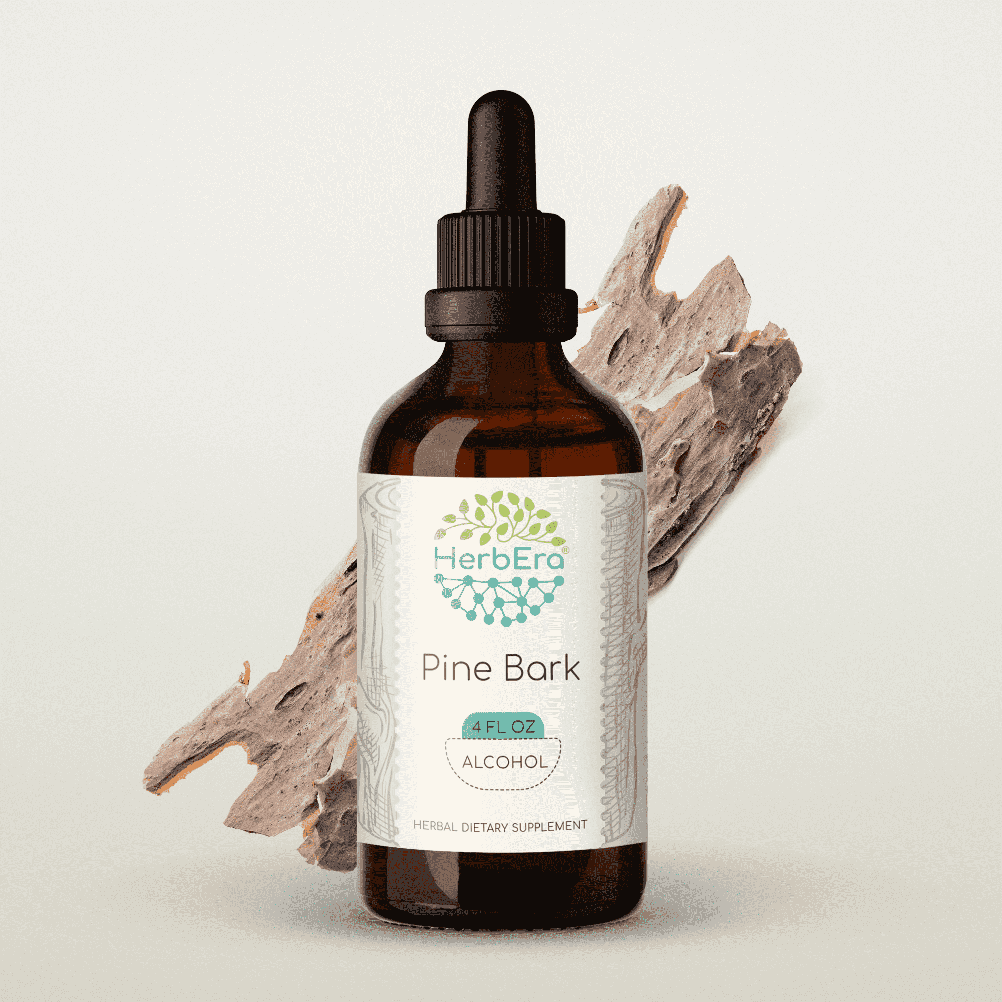 HerbEra Pine Bark Tincture, Herbal Dietary Supplement for Antioxidant ...