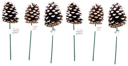 Pinecone Picker Upper