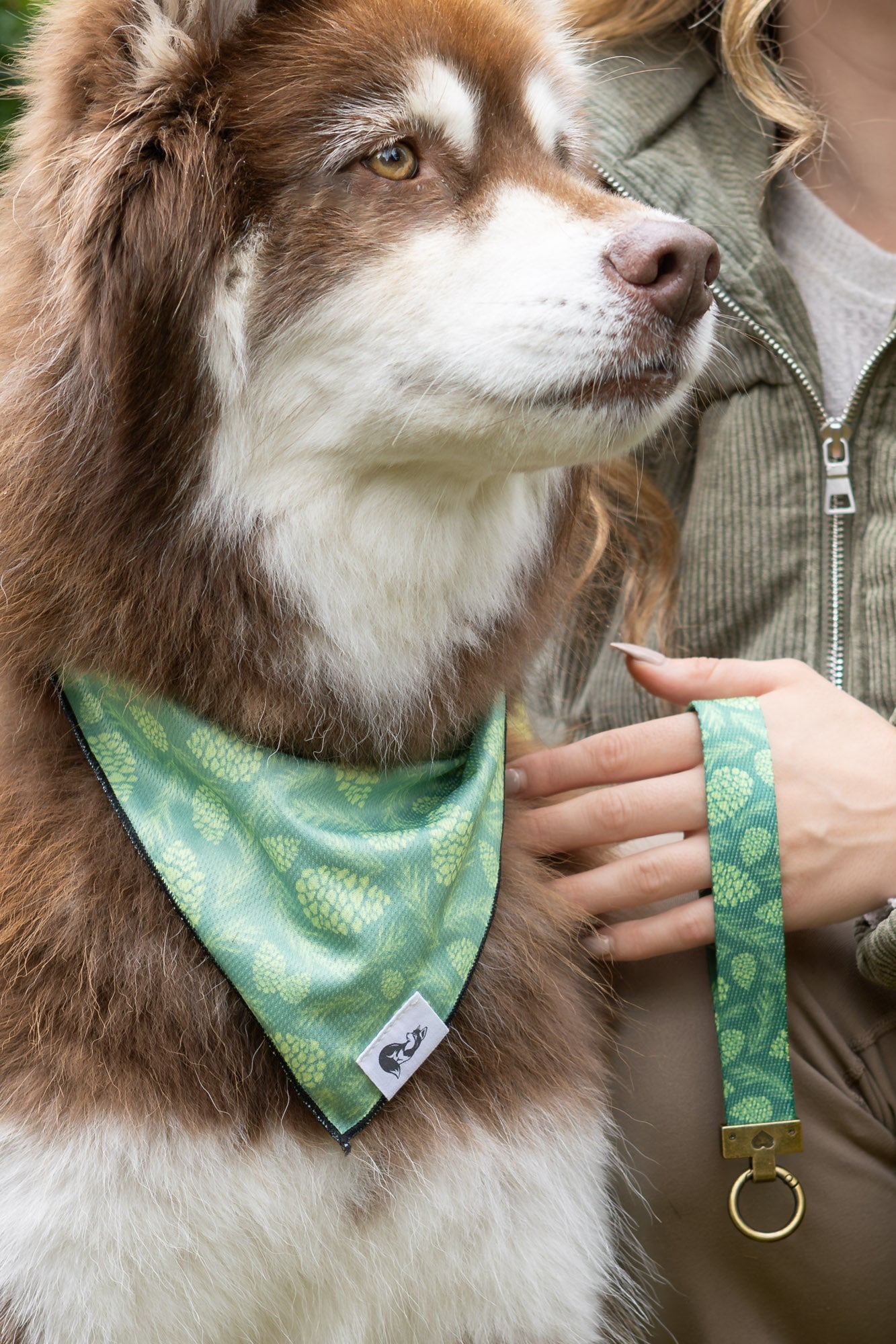 Pine Cone Pup Bandana & Matching Keychain - Walmart.com