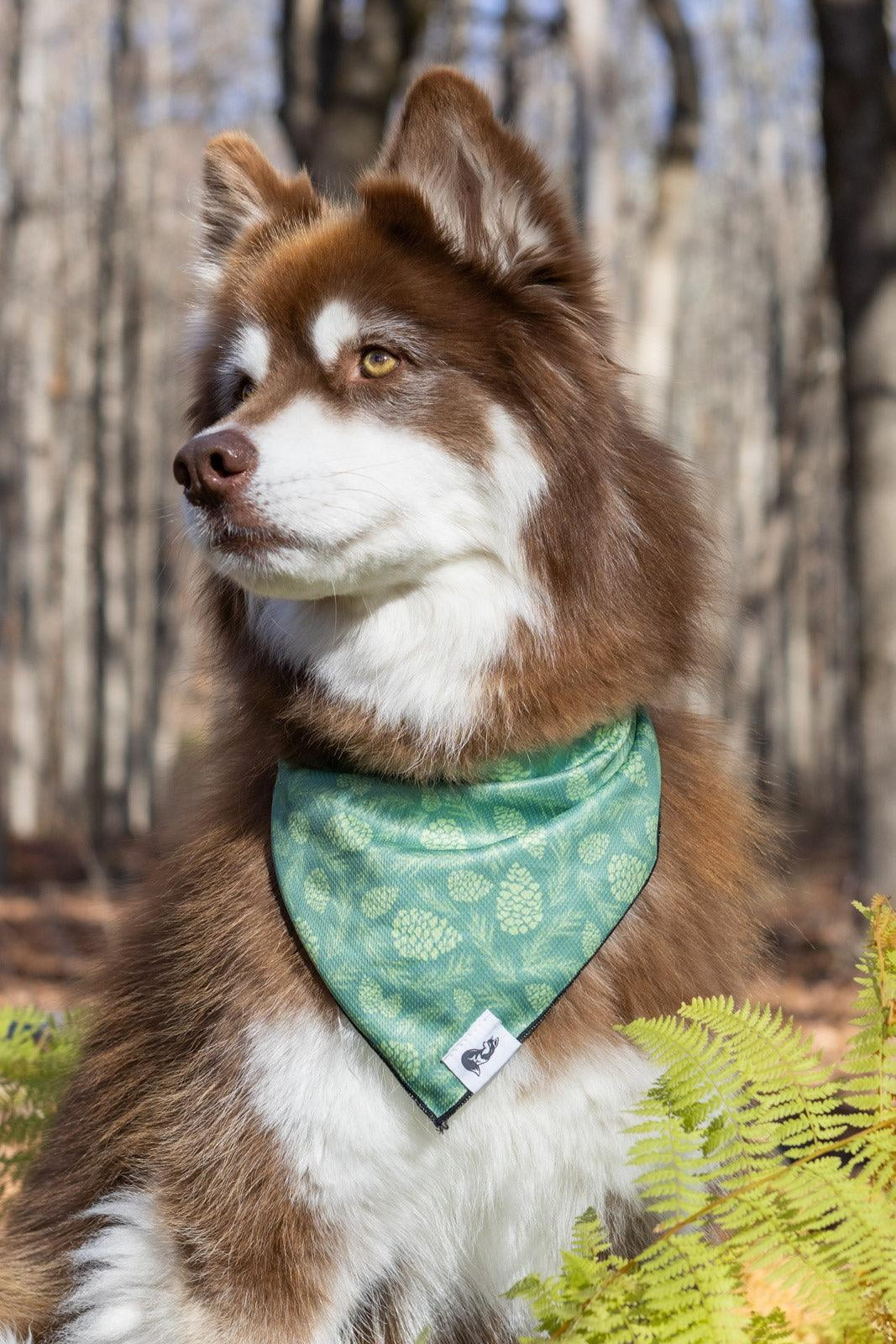 Pine Cone Pup Bandana - Walmart.com