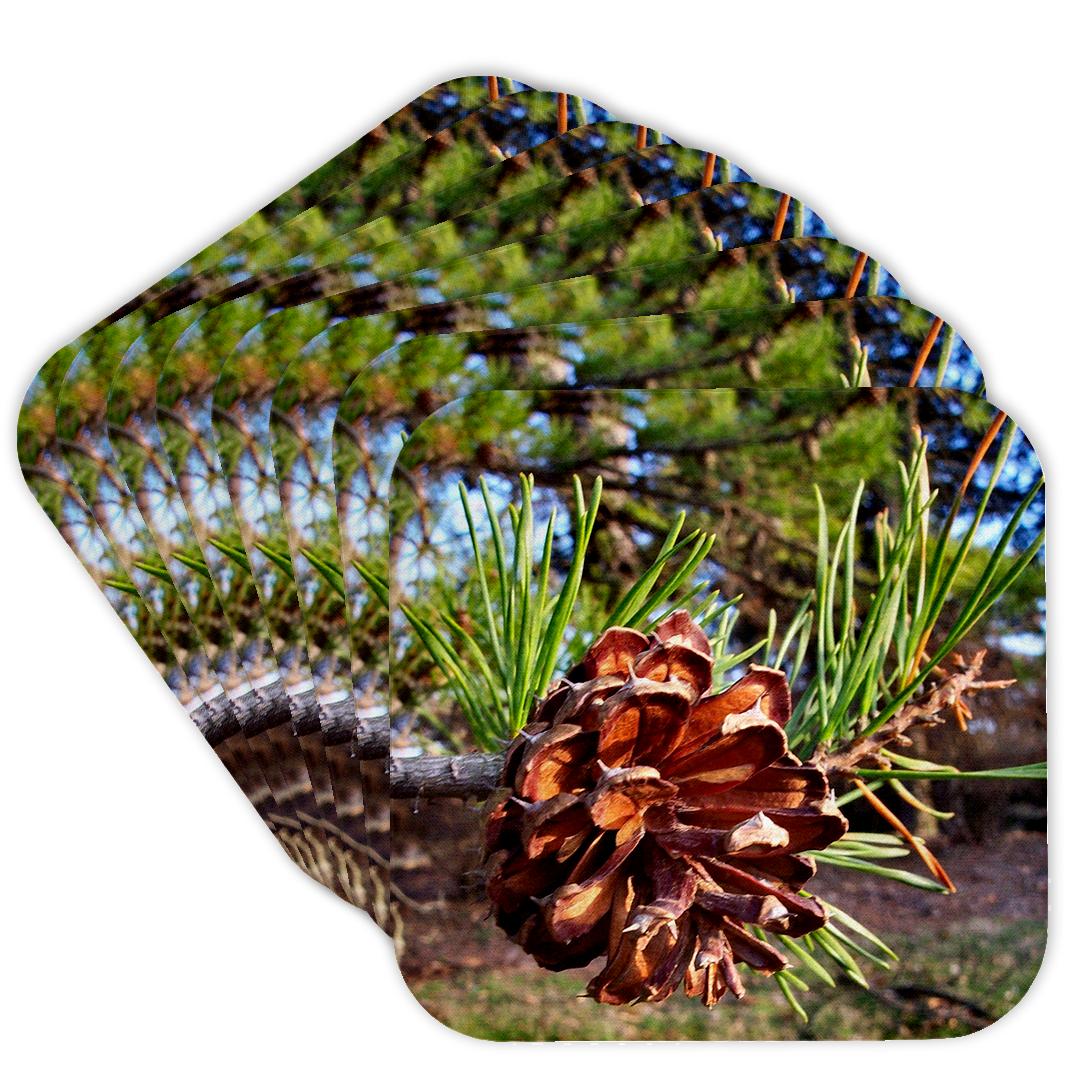 3dRose, Pine Cone, Set of 8 Coasters - Soft - Walmart.com