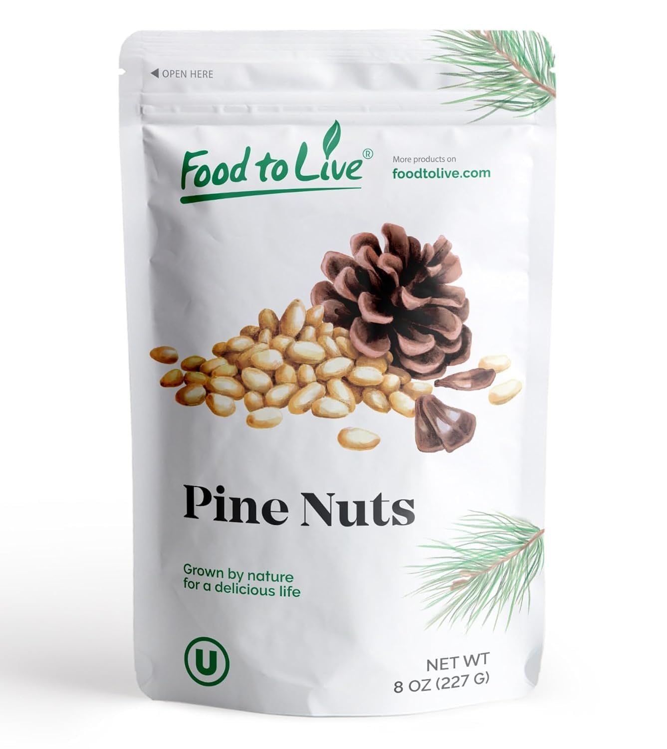 Pine Nuts, 8 Ounces Whole Pignolias, Unsalted, Vegan, Kosher, Bulk ...