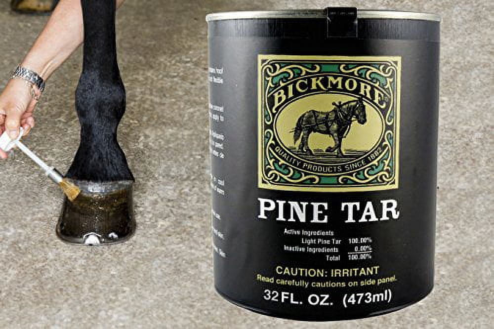 Pine Tar 1 Gallon - Hoof Care Formula for Horses - Walmart.com