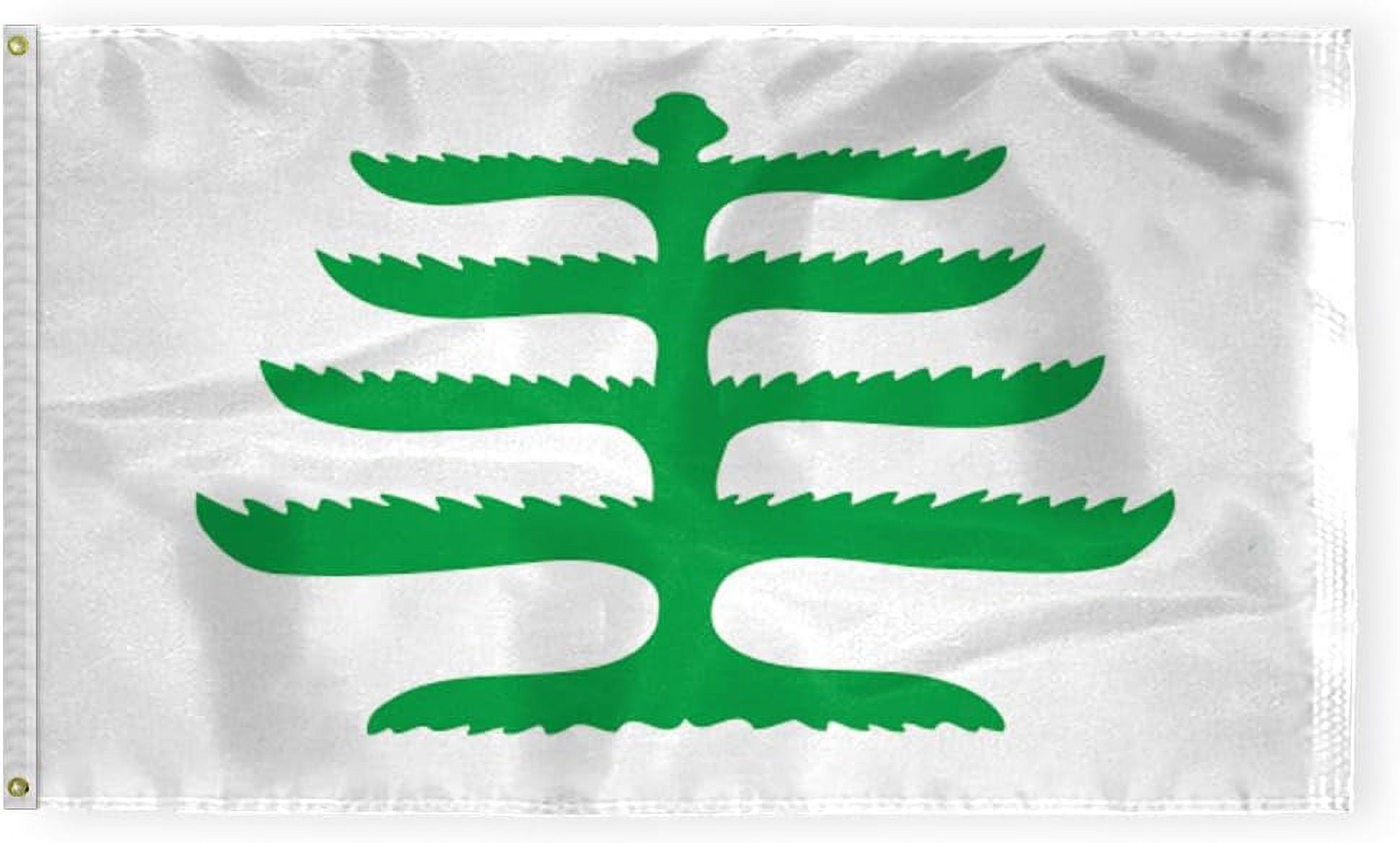 Pine Tree Colonial American Revolution History Flag, 3Ply Polyester ...