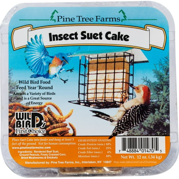 Pine Tree Farms 1470 Insect Suet Cake, 12 Ounce - Walmart Business Supplies