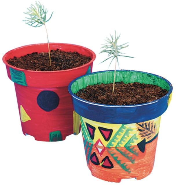 Pine Tree Planter Craft Kit (Pack of 50) - Walmart.com