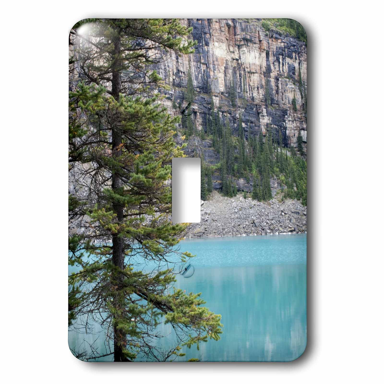 3dRose, Pine tree, Moraine Lake, Banff National Park, Canada-CN02 ...