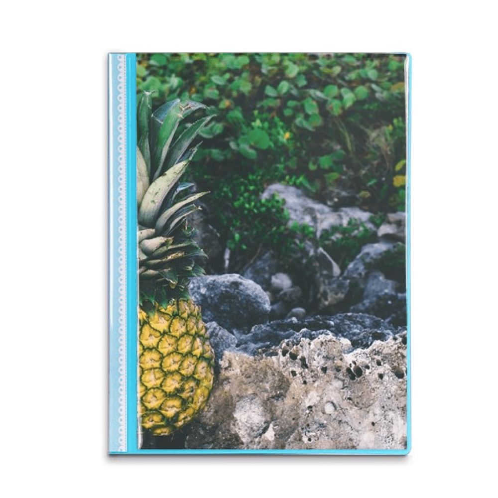 PineFruit Picture Nature Book Sheet Protectors Portfolio Binder Folder ...