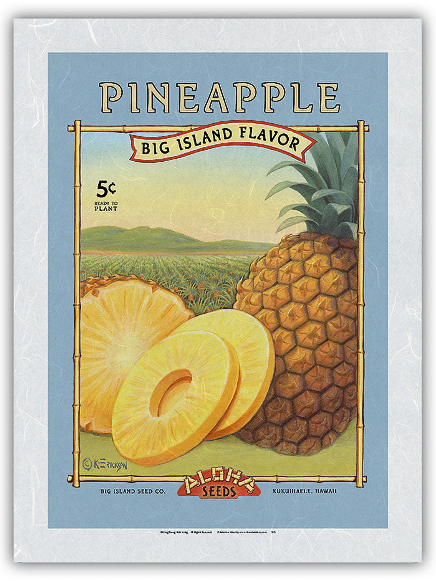 Pineapple - Aloha Seeds - Big Island Seed Company - Big Island Flavor ...