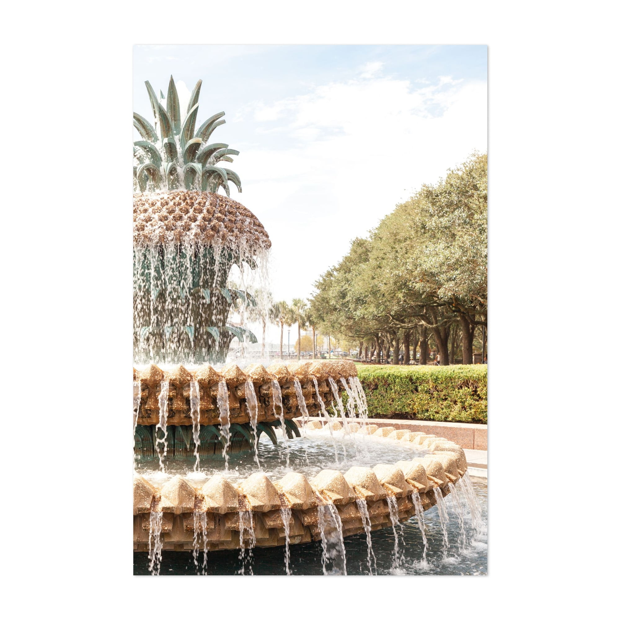 The Pineapple - Charleston South Carolina Photography Fountain Tropical ...