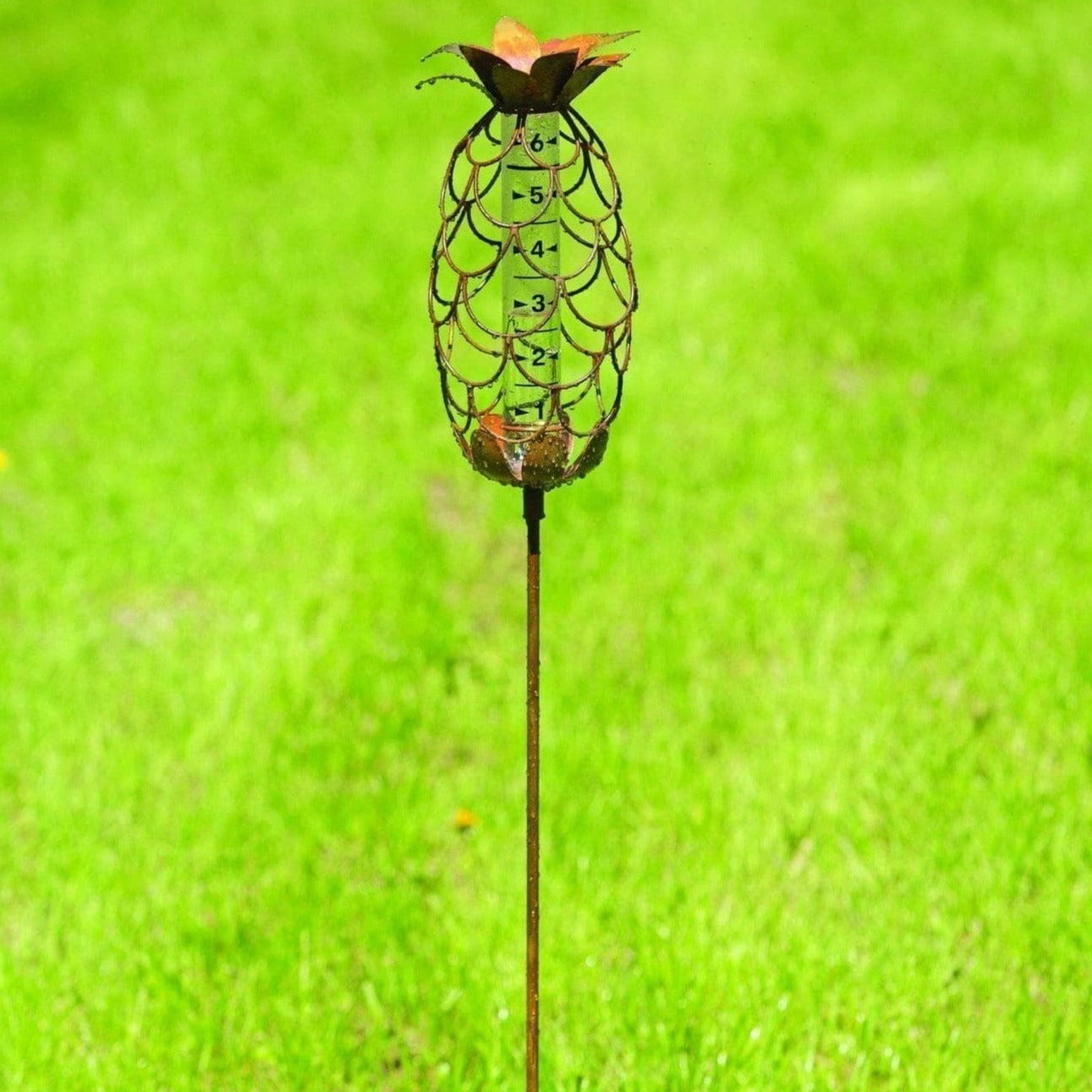 Pineapple Rain Gauge Stake - Walmart.com