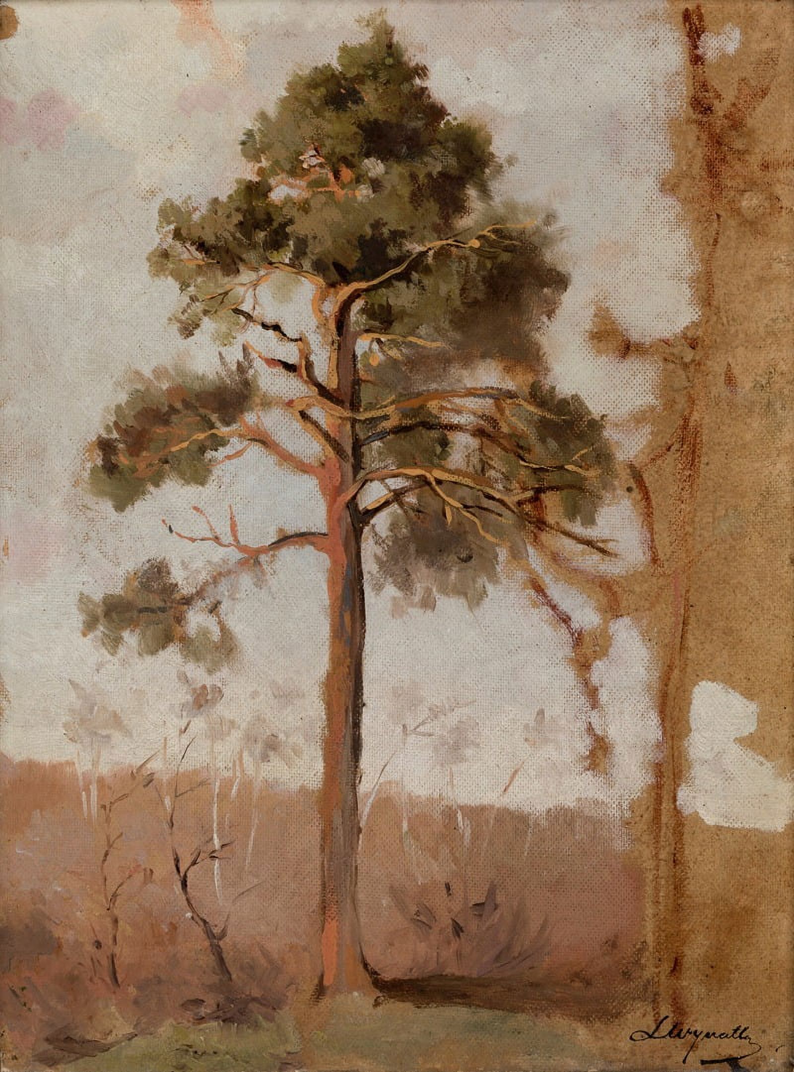Pines at Połąga (1906-1910) Poster Print by Leon Wyczółkowski (24 x 36 ...