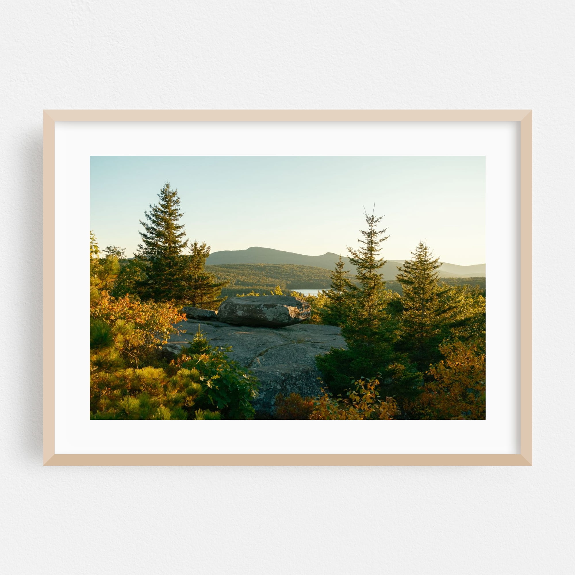 Pines at Sunset Rock - Hunter New York Photography Landscape Nature ...