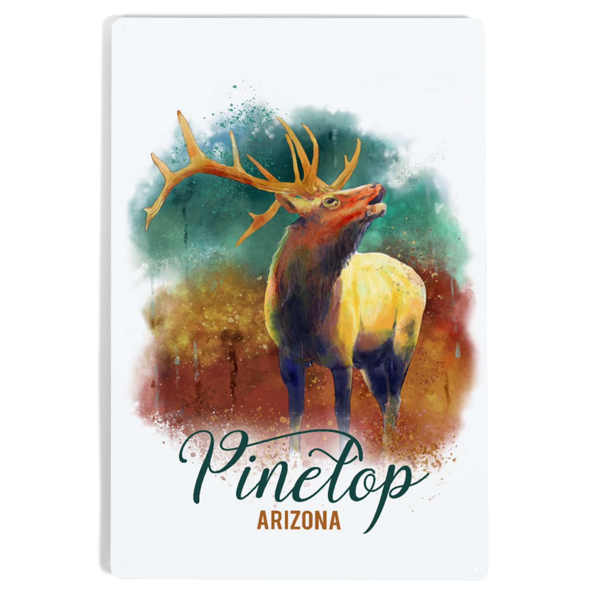 Pinetop, Arizona, Elk, Watercolor (12x18 Aluminum Art, Indoor Outdoor ...