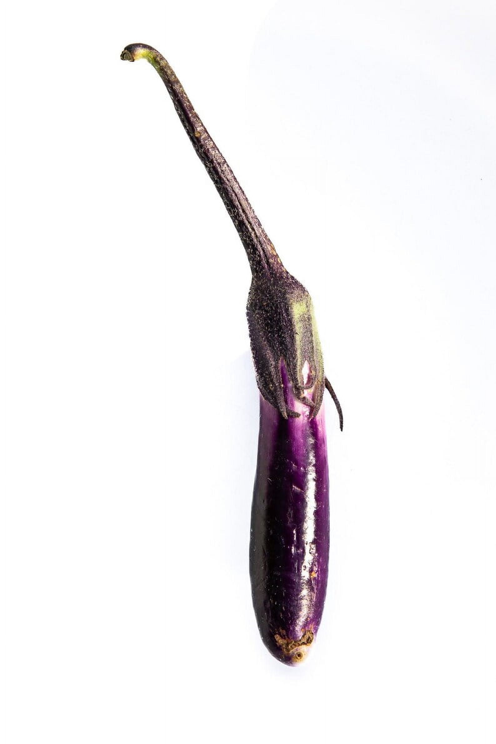 Pingtung Eggplant Purple Asian Long Premium Seed Packet - Walmart.com