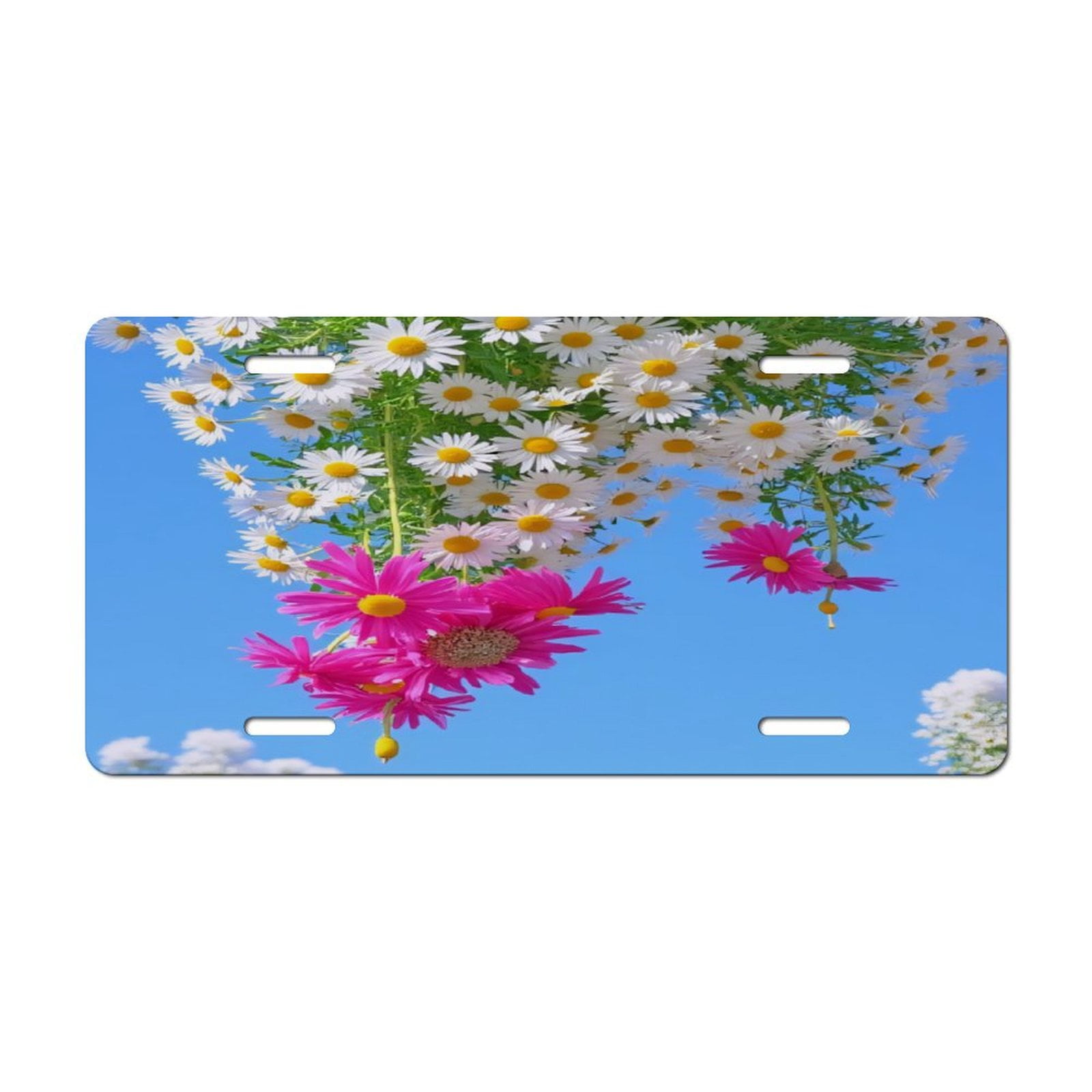Pink And White Daisies Against Blue Sky License Plate Lightweight ...