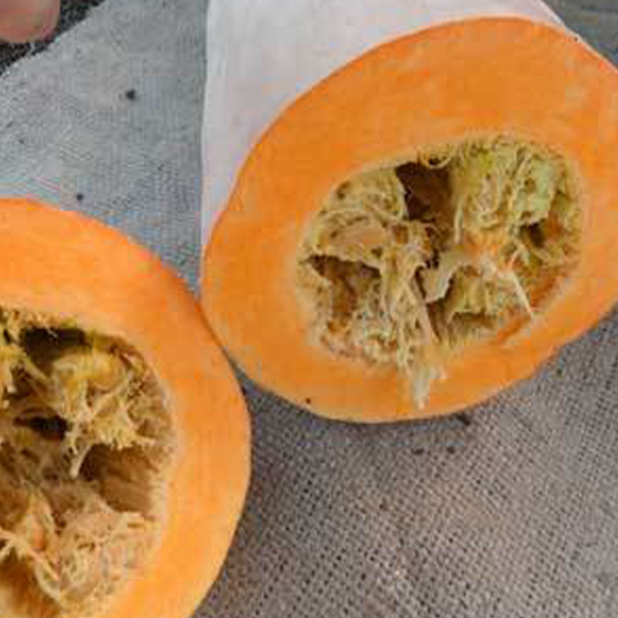 Pink Banana Jumbo Squash - 4 g ~20 Seeds - Non-GMO, Open Pollinated ...