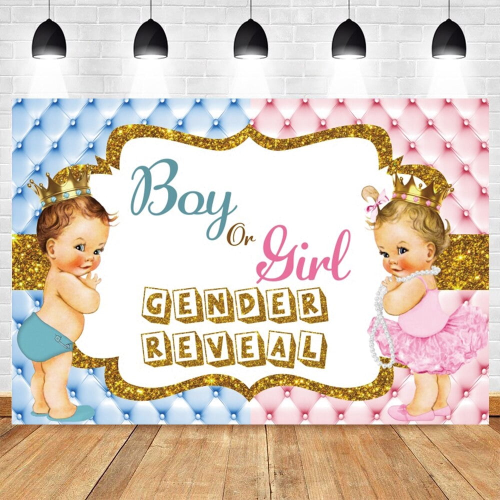 Pink Blue Headboard Newborn Baby Shower Boy Or Girl Gender Reveal ...