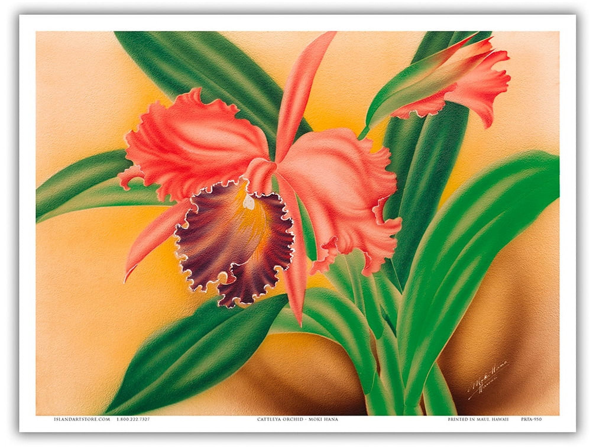 Pink Cattleya Orchid Hawai’i - The Queen of Orchids - Vintage Hawaiian ...