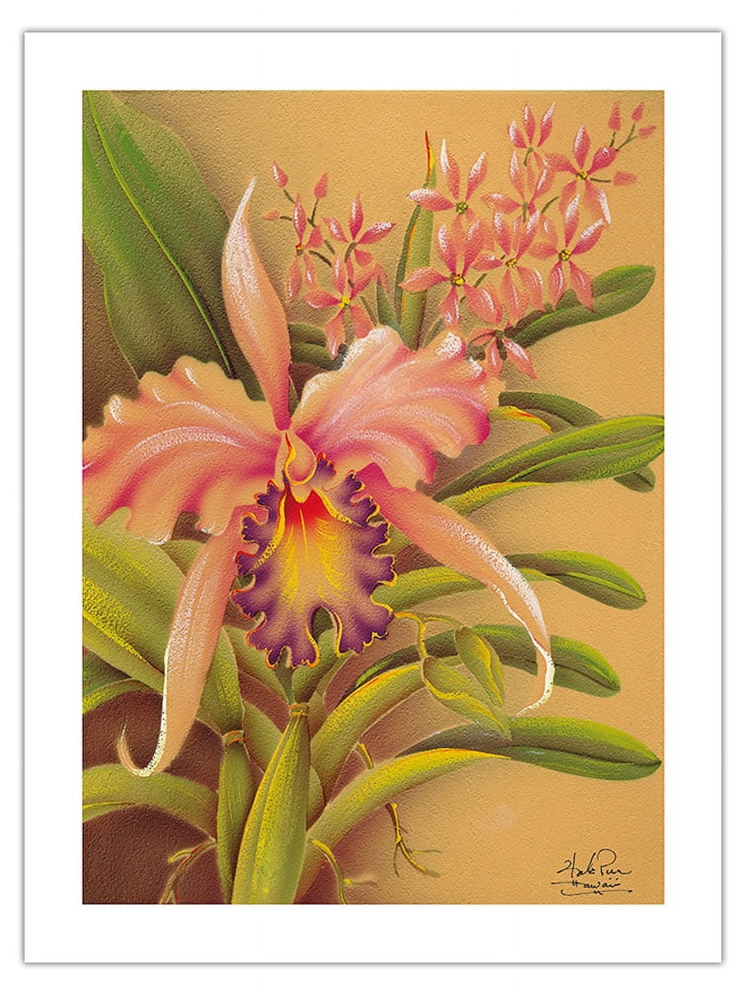 Pink Cattleya Orchid Hawaii - Vintage Hawaiian Airbrush Art by Frank ...