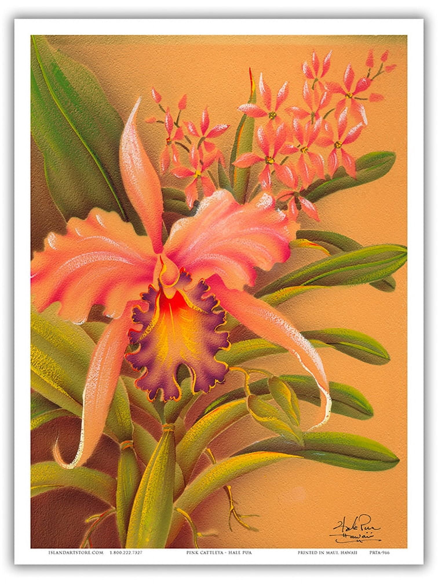 Pink Cattleya Orchid Hawaii - Vintage Hawaiian Airbrush Art by Frank ...