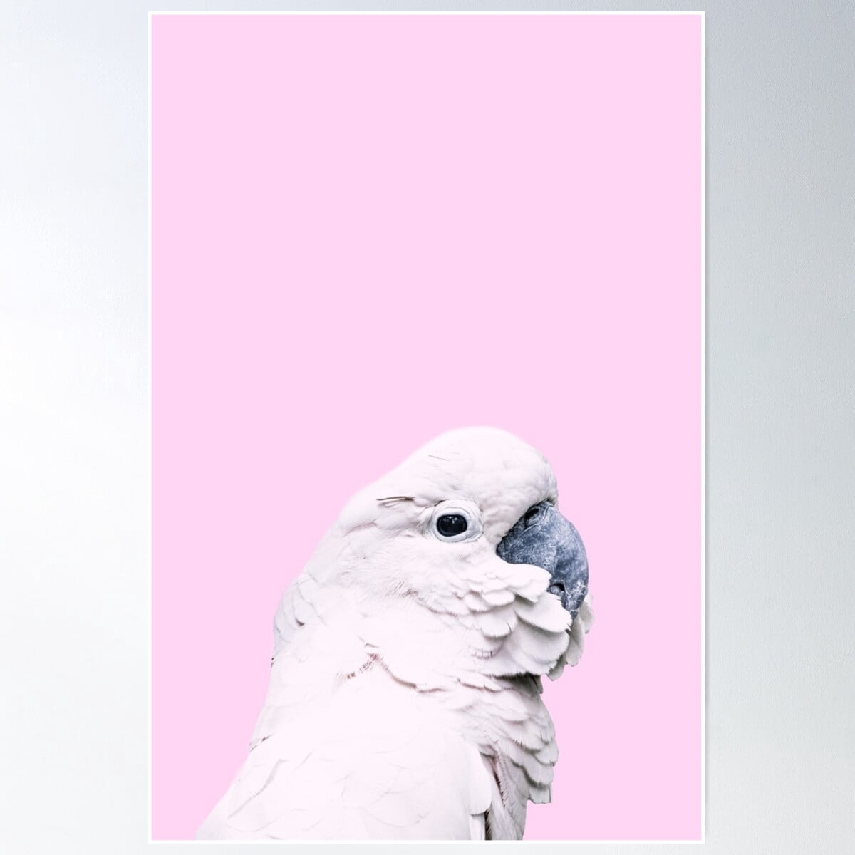 Pink Cockatoo Poster Wall Art, Modern Wall Decor For Living Room ...