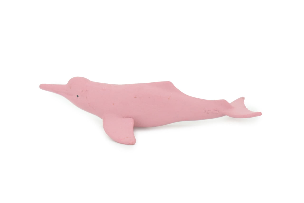 Pink Dolphin, Boto, Amazon River Dolphin, Hand Painted, Educational ...