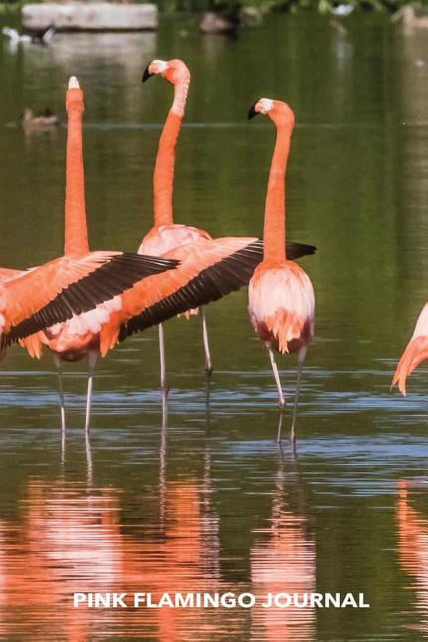 Pink Flamingo Journal - Walmart.com