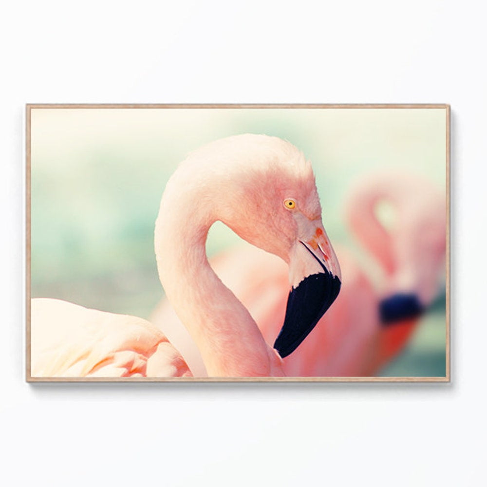 Pink Flamingo Wall Art Print, Tropical Pink Wall Art, Flamingo Print ...
