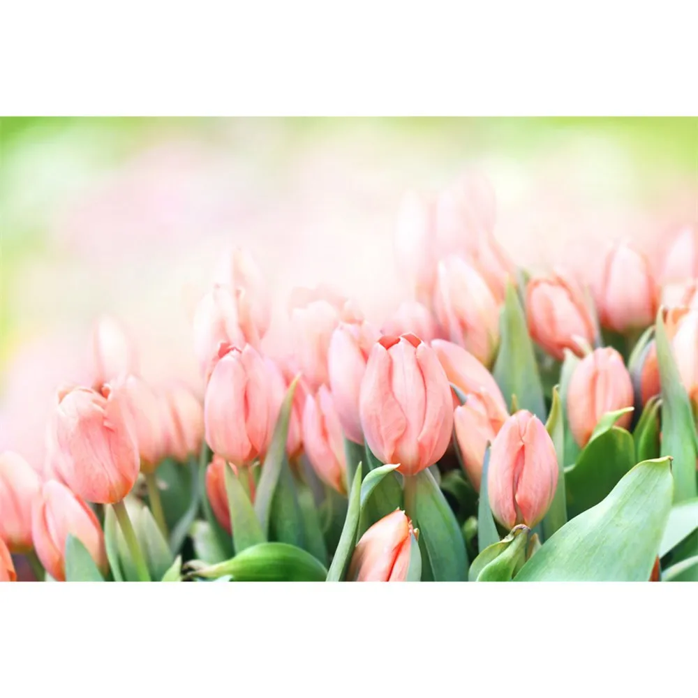Pink Flower Gre Grass Photography Backdrop Floral Spring Photo Wall ...