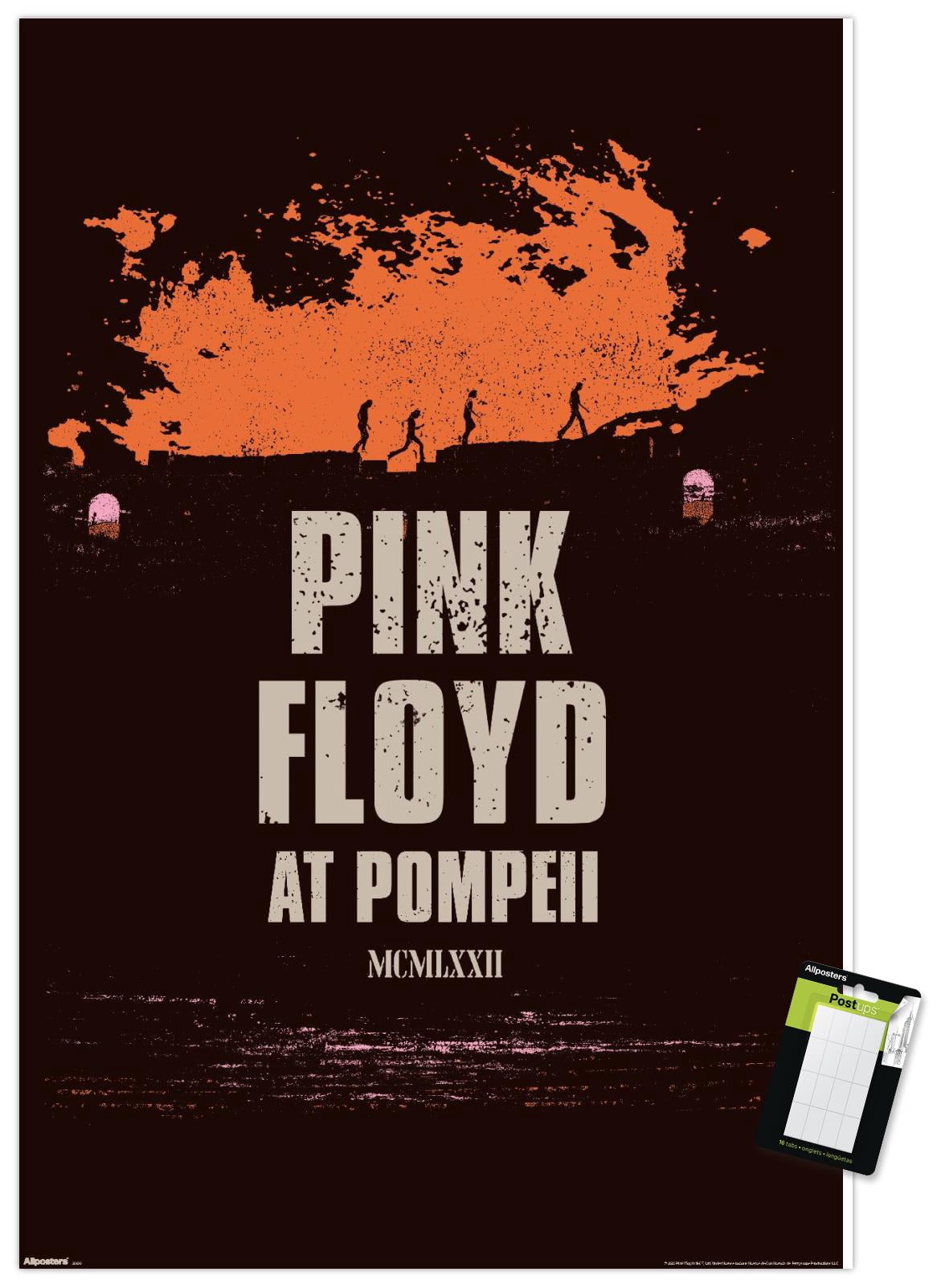 Pink Floyd: Live At Pompeii - Album Wall Poster, 14.725" x 22.375 ...
