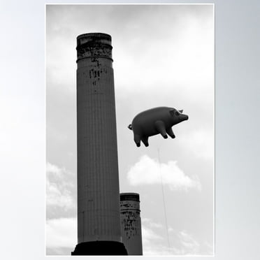 DOPAPRINT Merino Sheep Poster Wall Art, Modern Wall Decor For Living ...