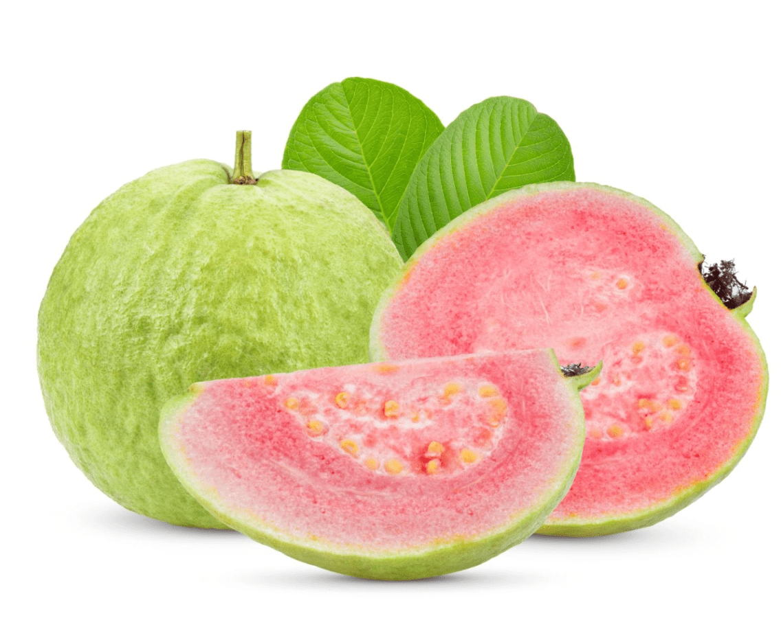 Pink Guava Plant Live for Planting, Sweet Guava Plant for Outdoor ...