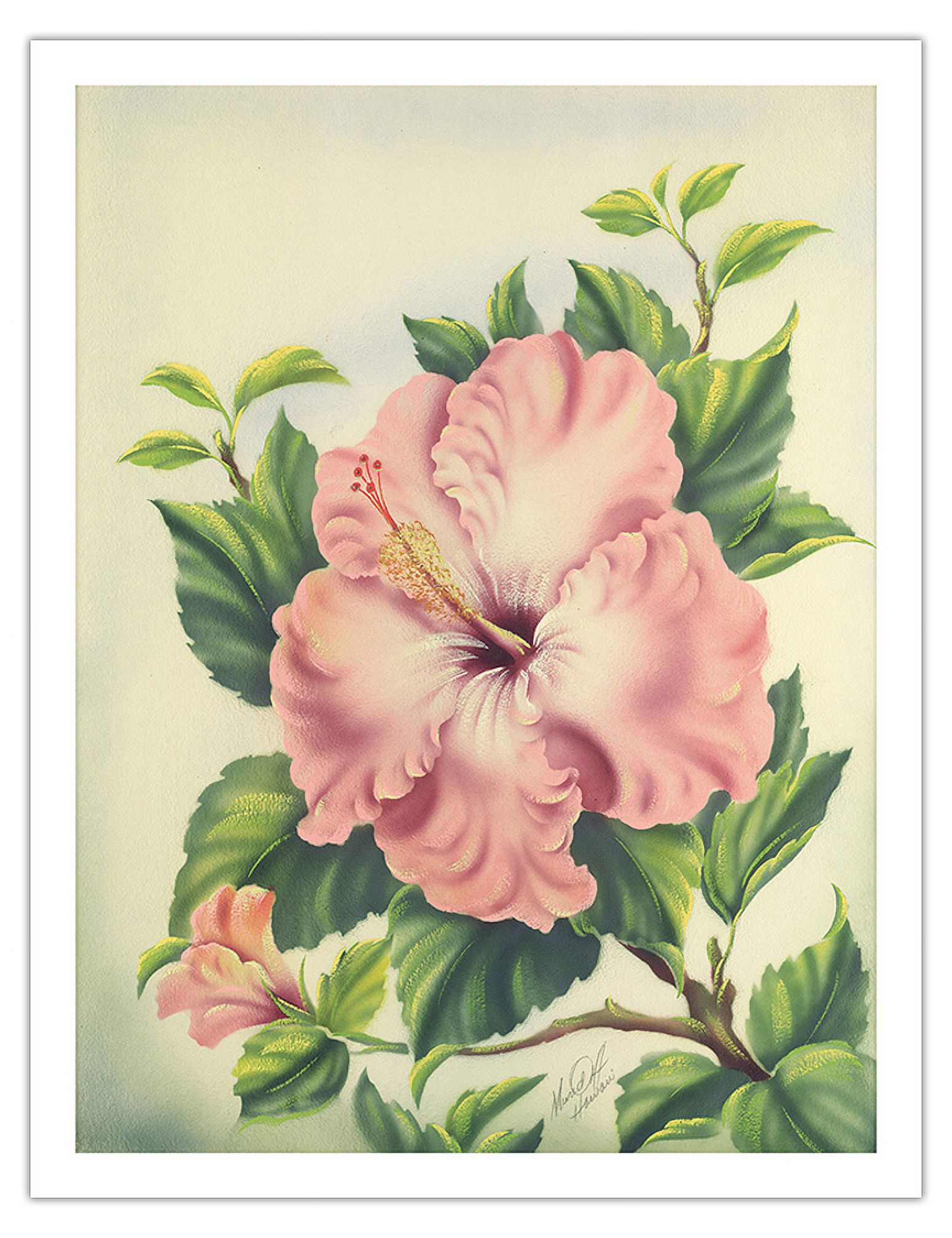 Pink Hibiscus Flowers - Hawai’i - Vintage Hawaiian Airbrush Art by Ted ...