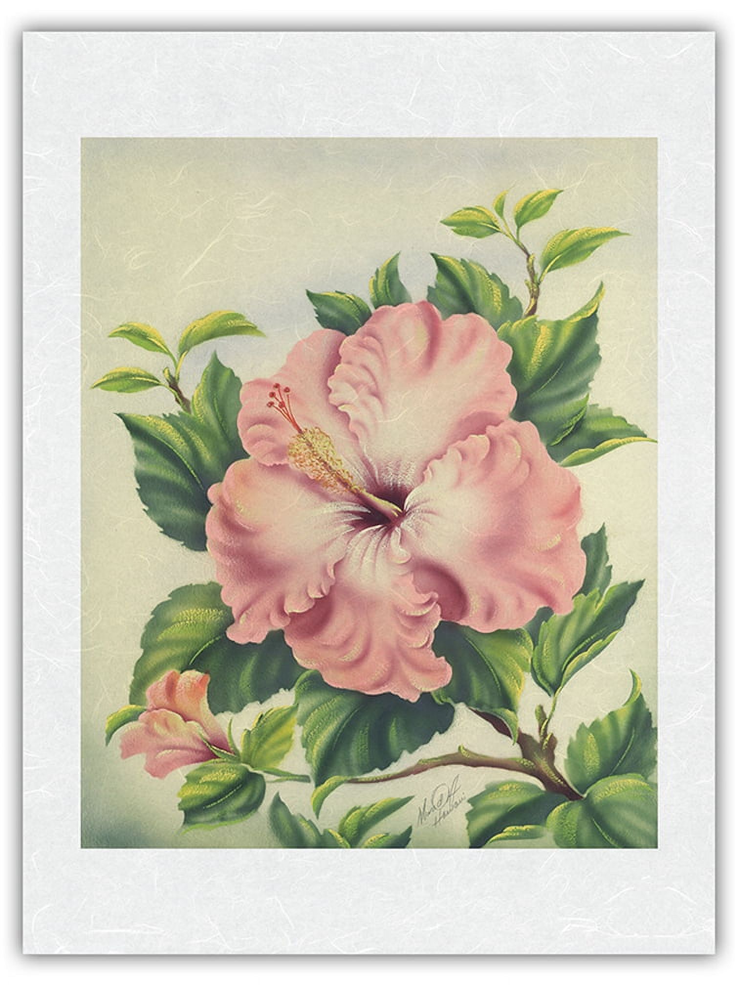 Pink Hibiscus Flowers - Hawai’i - Vintage Hawaiian Airbrush Art by Ted ...