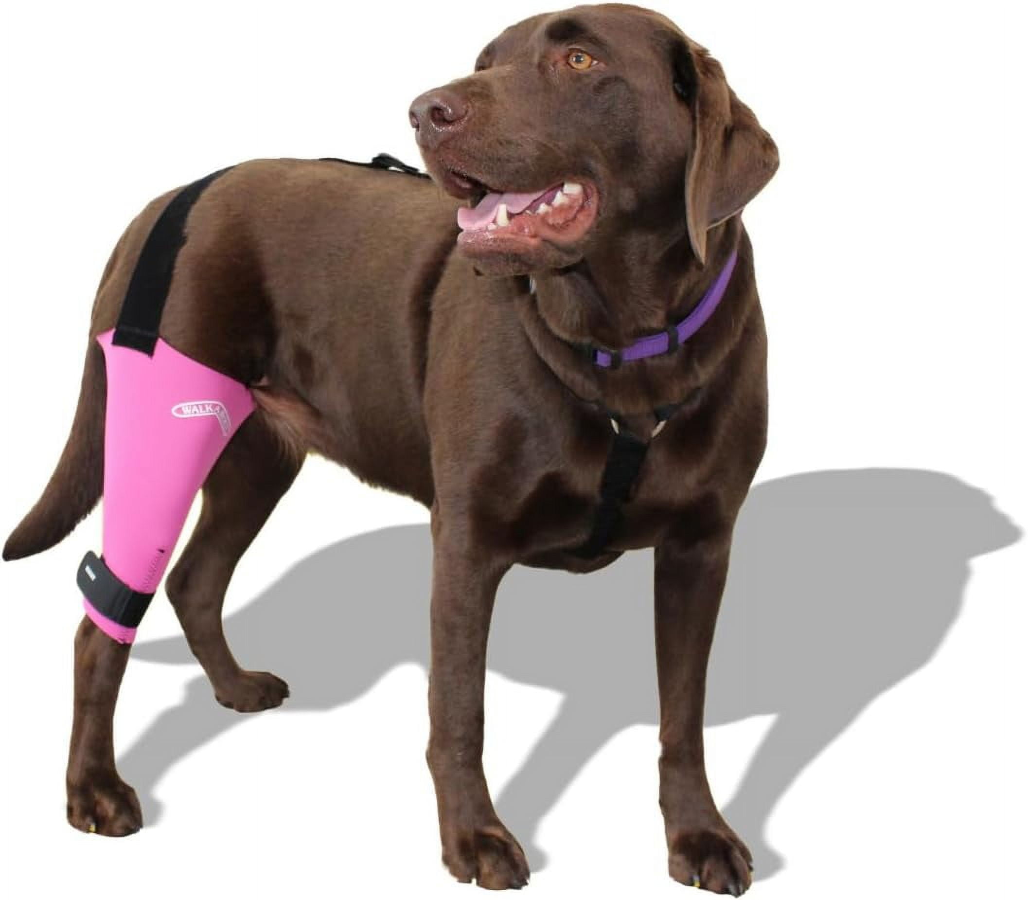 Pink Knee Brace for Dogs Treat ACL, CCL Injury, Arthritis, Joint Pain ...