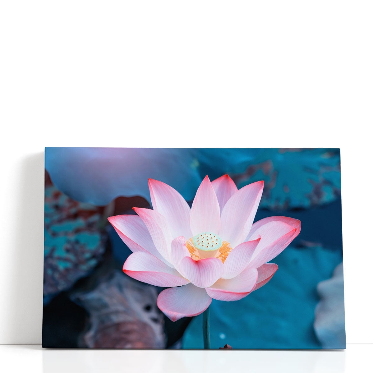 Pink Lotus Flower In Water - Wrapped Canvas Print Wall Art | 18" W x 12 ...